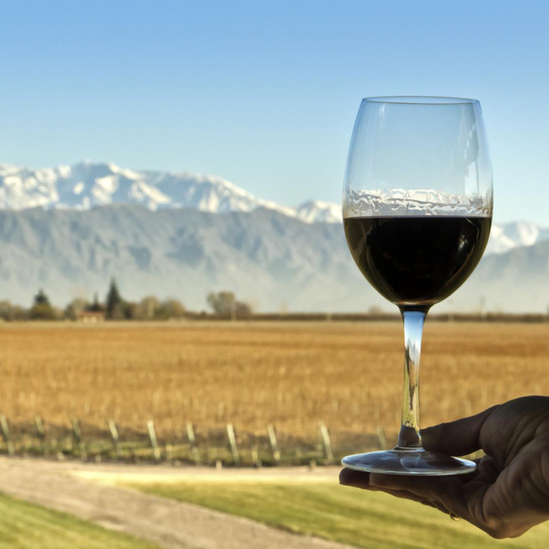 MENDOZA - Capital del vino argentino